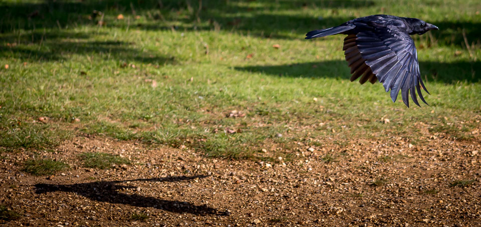Colour Blind Exhibition - Jeremy Gee Photographer